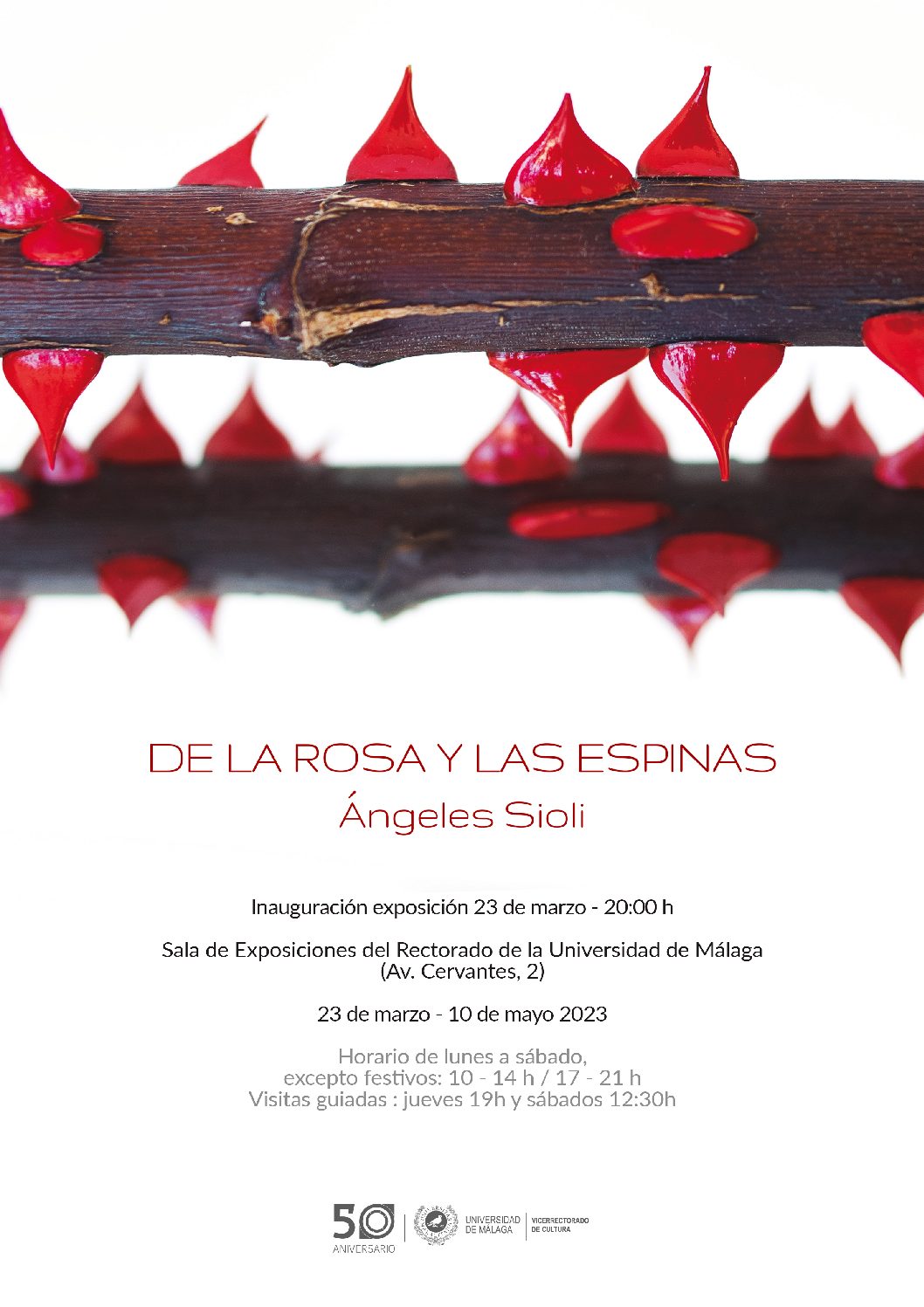 Exposición de Angeles Sioli "De la rosa y las espinas" - Ángeles Sioli